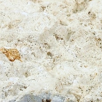 Shell & Fossil Stones | Cantera, Inc.